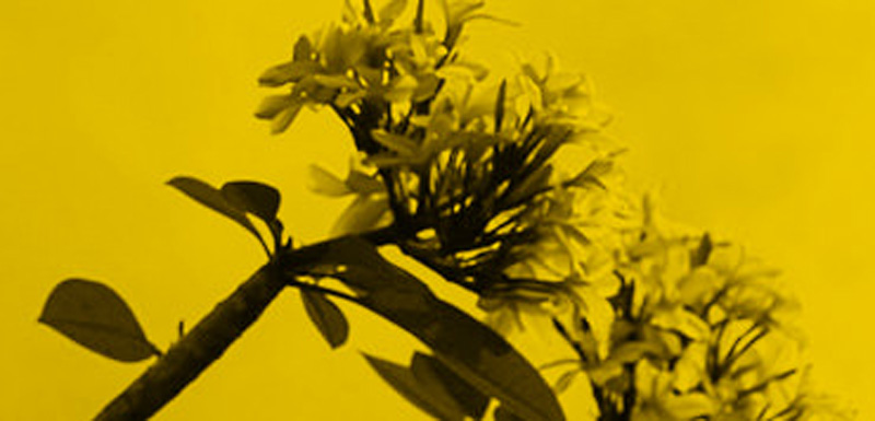 Home Moving Background - Sigma Sign